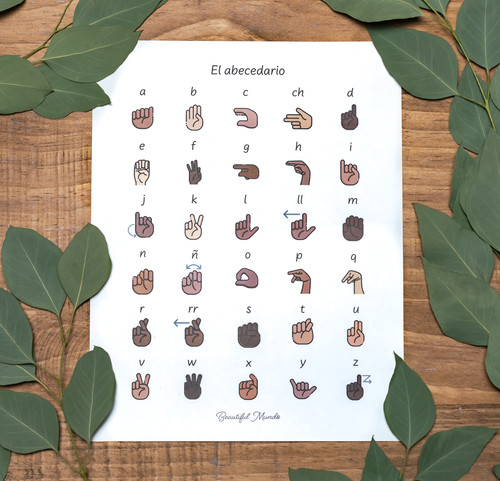 El abecedario- Posters in Print & Cursive | Beautiful Mundo