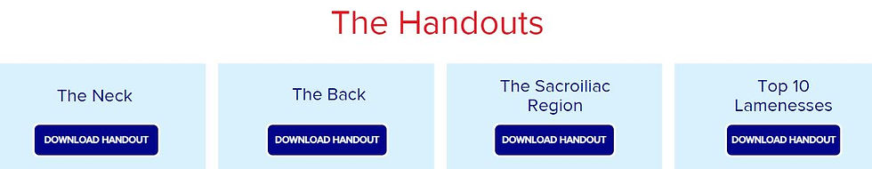 Learn more about Equine Orthopaedics & Lameness with Dr Jessica Kidd