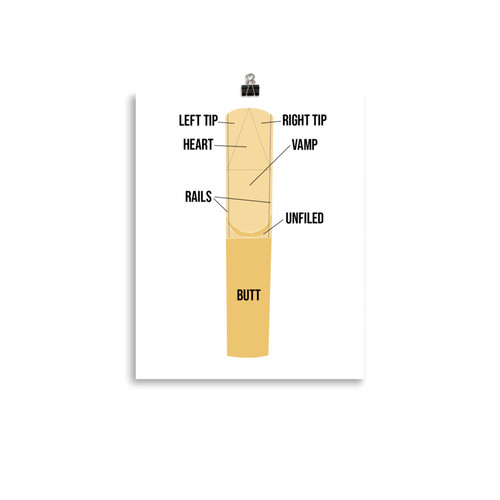 Reed Anatomy Poster | Clever Clarinetist | Kansas City