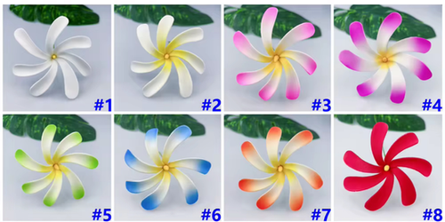 Single 8cm Tiare Maori Assorted Colours - 8 Pack | Manea Pacifica