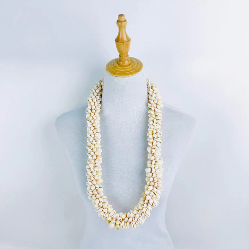 Shell Ei Kaki | Manea Pacifica