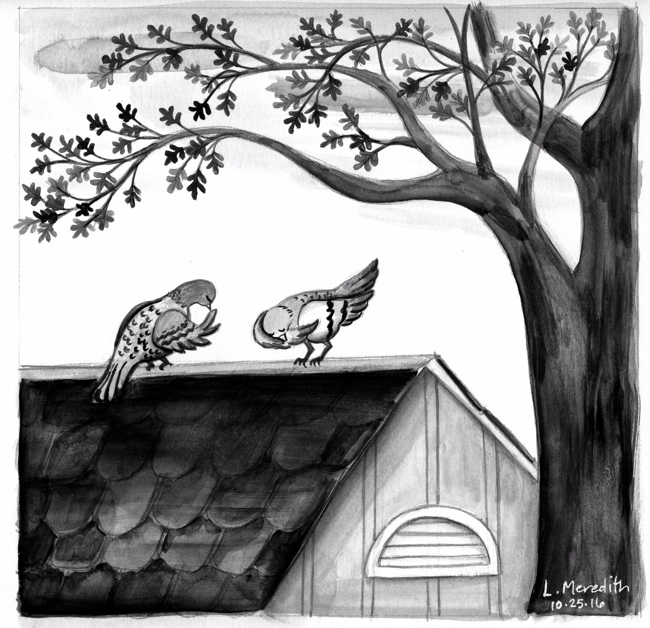 Lyn Meredith Illustration