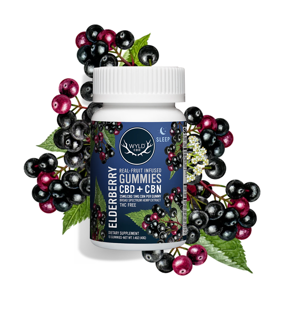 300mg Wyld Elderberry CBD+CBN Sleep Gummies | Zynnworld 300mg Wyld Elderberry CBD+CBN Sleep Gummies | Zynnworld