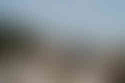 Hotell Langesund Bad | Sjøutsikt, Spa, Restaurant, Konferanse, Bryllup ...