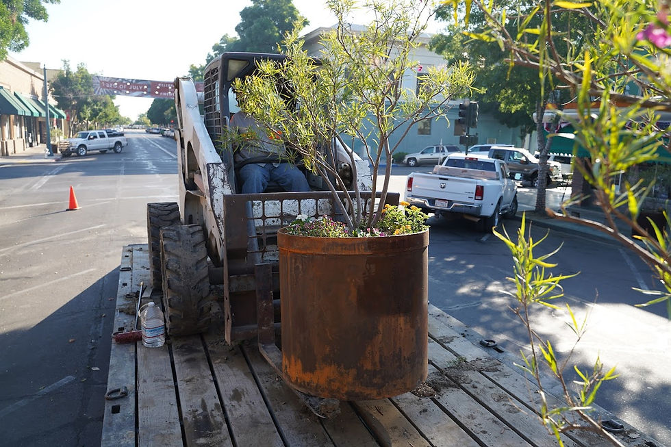 Downtown Los Banos | Live Site