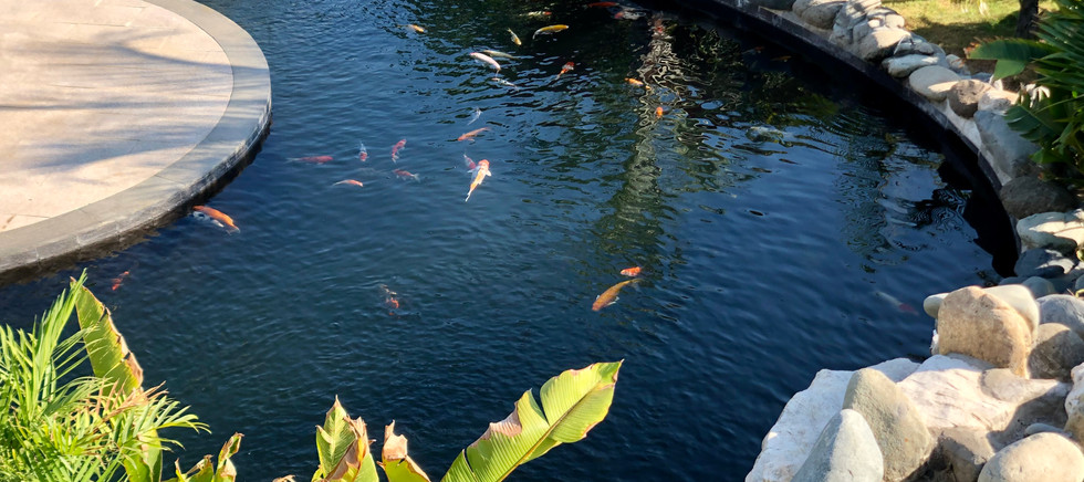 SWIMMING POOL | Strutz Art Garden Resort | Bangued, Abra (Philippines)