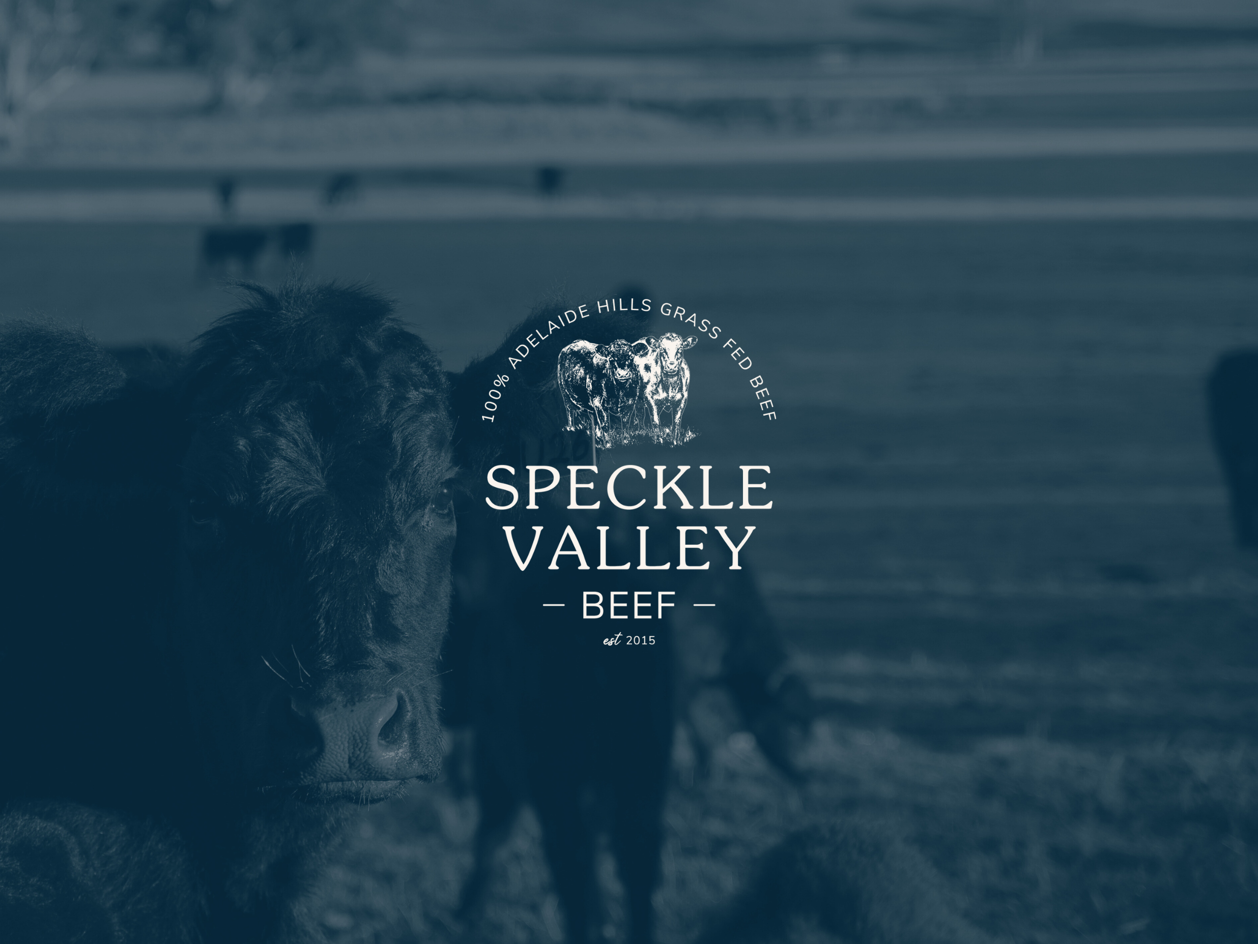 Speckle Valley Beef