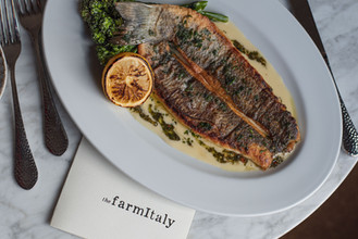 Home | The Farm Italy Restaurant & Bar | Huntington, NY