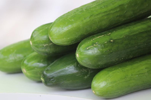 Beit Alpha Cucumber- 20 seeds Garden Heirloom Seed | Serendipity Seeds