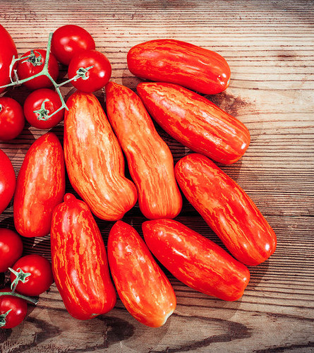 Speckled Roman Tomato 10 Hard to Find Seeds | Serendipity Seeds