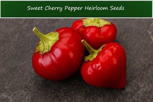 Vegetable Seeds -Sweet Cherry Pepper 20 Seeds | Serendipity Seeds