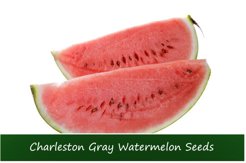 Vegetable Seeds-Charleston Gray Watermelon- 20 Seeds | Serendipity Seeds