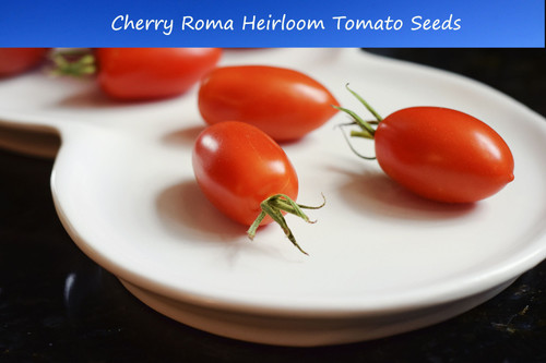 Tomato Seeds - Cherry Roma - Garden Seed pack-20 Vegetable Seeds ...