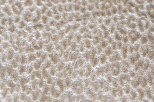 2514 (DESTINY)-CHAMPAGNE | Novus Resources