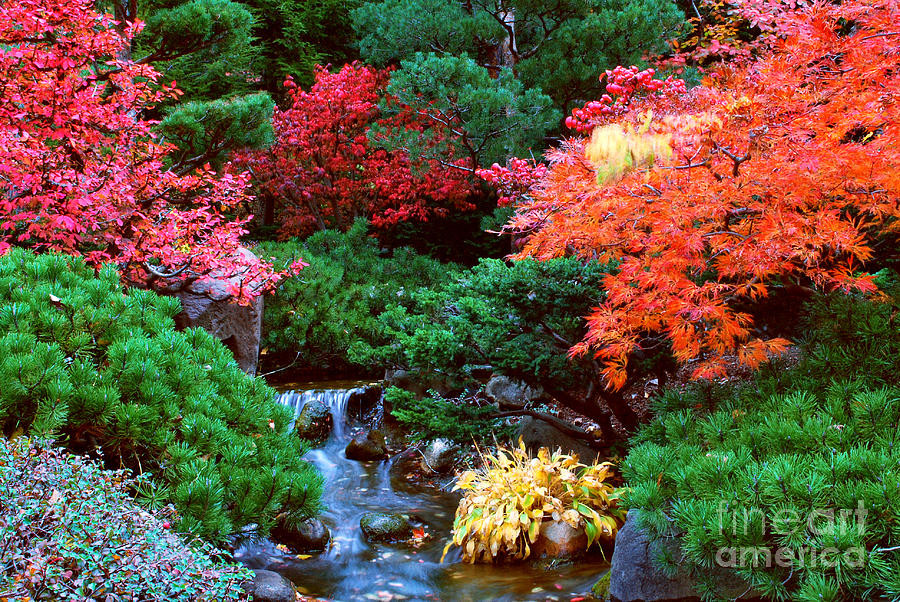 Landscape gardening Pendle | Real world landscapes | Colne