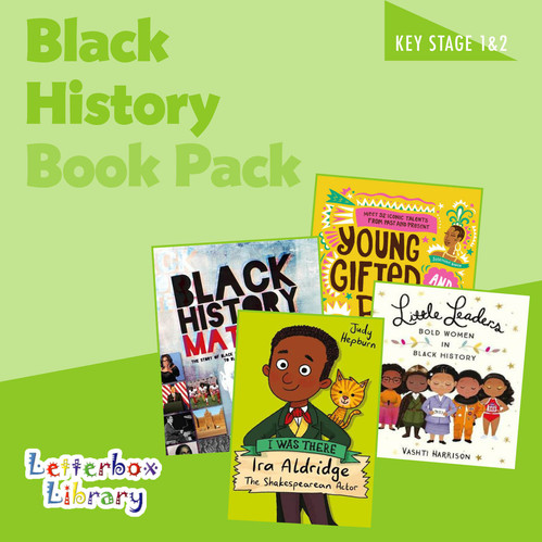 BLACK HISTORY PACK Primary Key Stage 1 & 2 (Ages 5-11) *20 Books ...