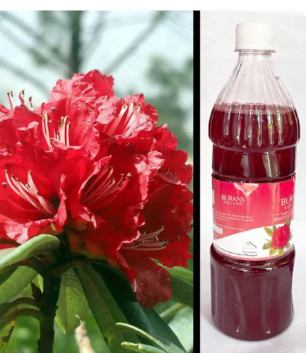 Himalayan Buransh Juice | HIMALAYAN HERITAGE