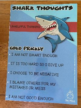 Set of 10 Brain Posters | Dr Judi Newman