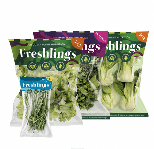 Leafy Box | Freshlings