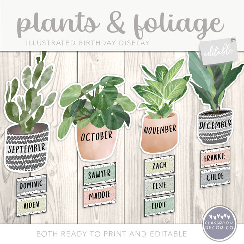 Plants and Foliage | Illustrated Birthday Display | Classroom Decor Co