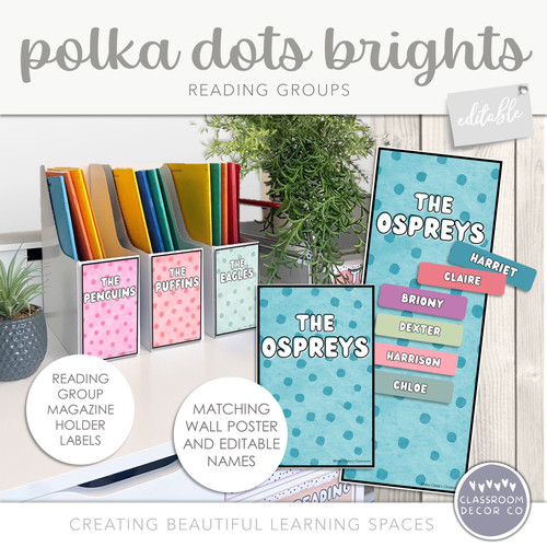 Polka Dots Brights | Reading Groups | Classroom Decor Co