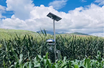 Smart Monitoring of Insect Pests | www.proagrotech.com