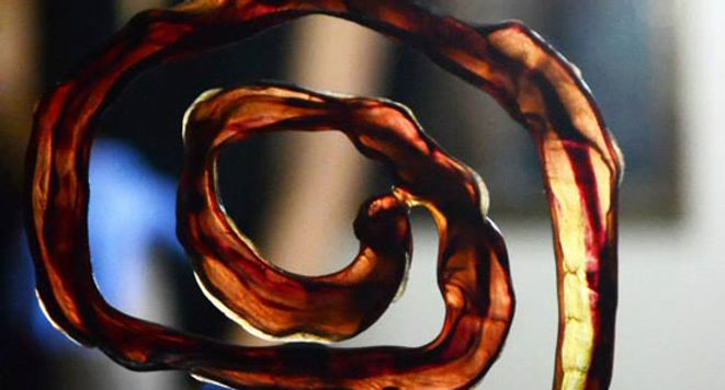 HUMAN PLACENTA PROJECT