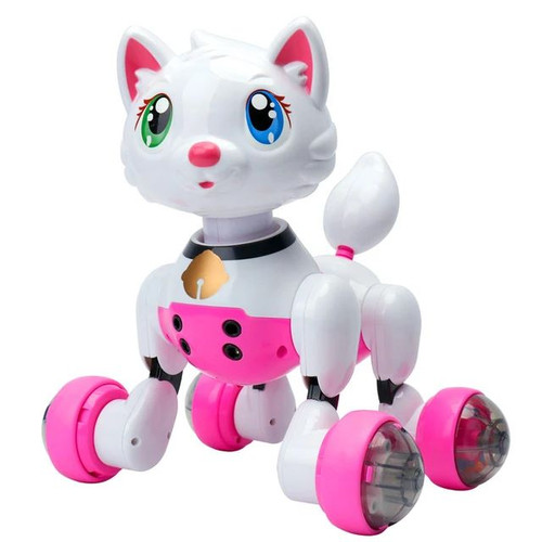 RC Gato Robot | IMORIEDU