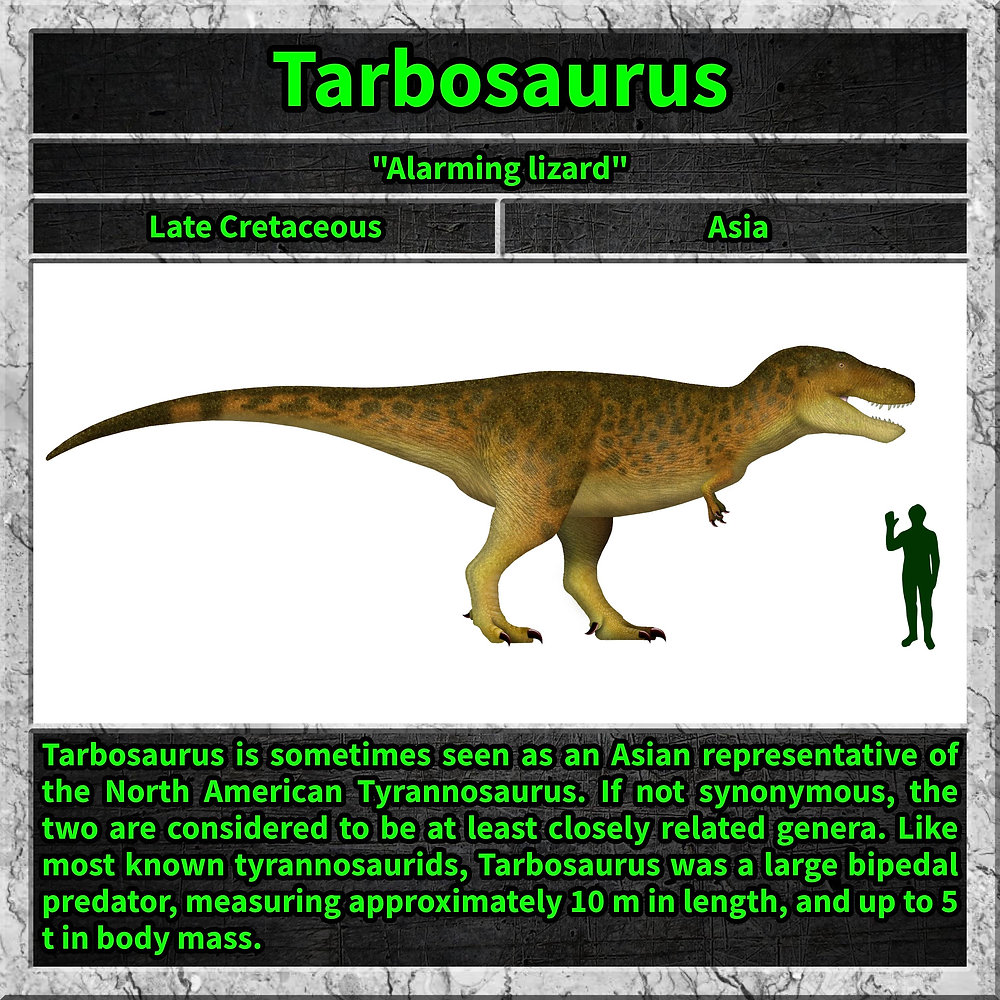 tarbosaurus formation