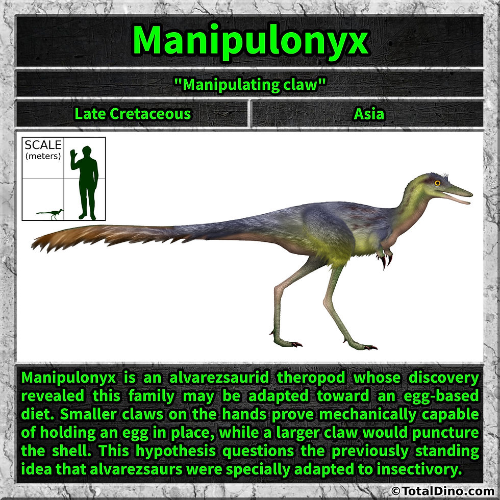 Manipulonyx