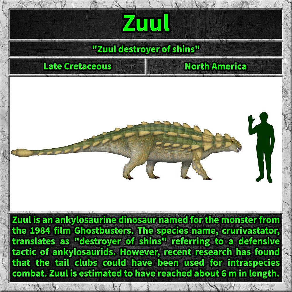 Zuul