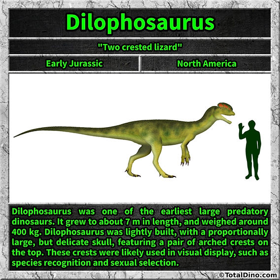 dilophosaurus size chart