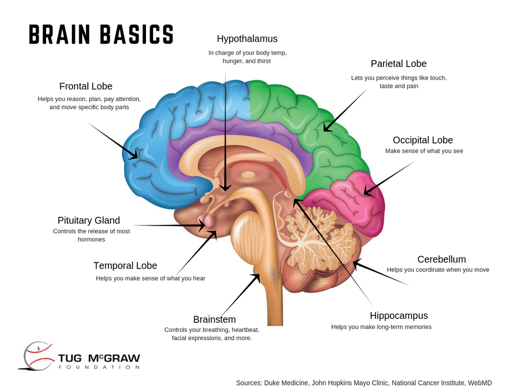 Why Cognitive Health is Important as We Age