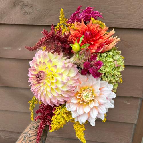 6-Month CSA Subscription | ShadyAF