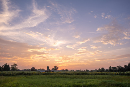 All Products | ShadyAF