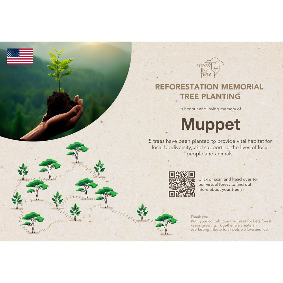 Pet Memorial Trees | Trees For Pets