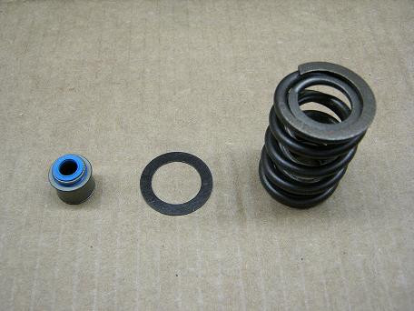 Double Valve Spring Kit - Ford 4.0L OHC V6 / Cosworth Heads | 12° North ...