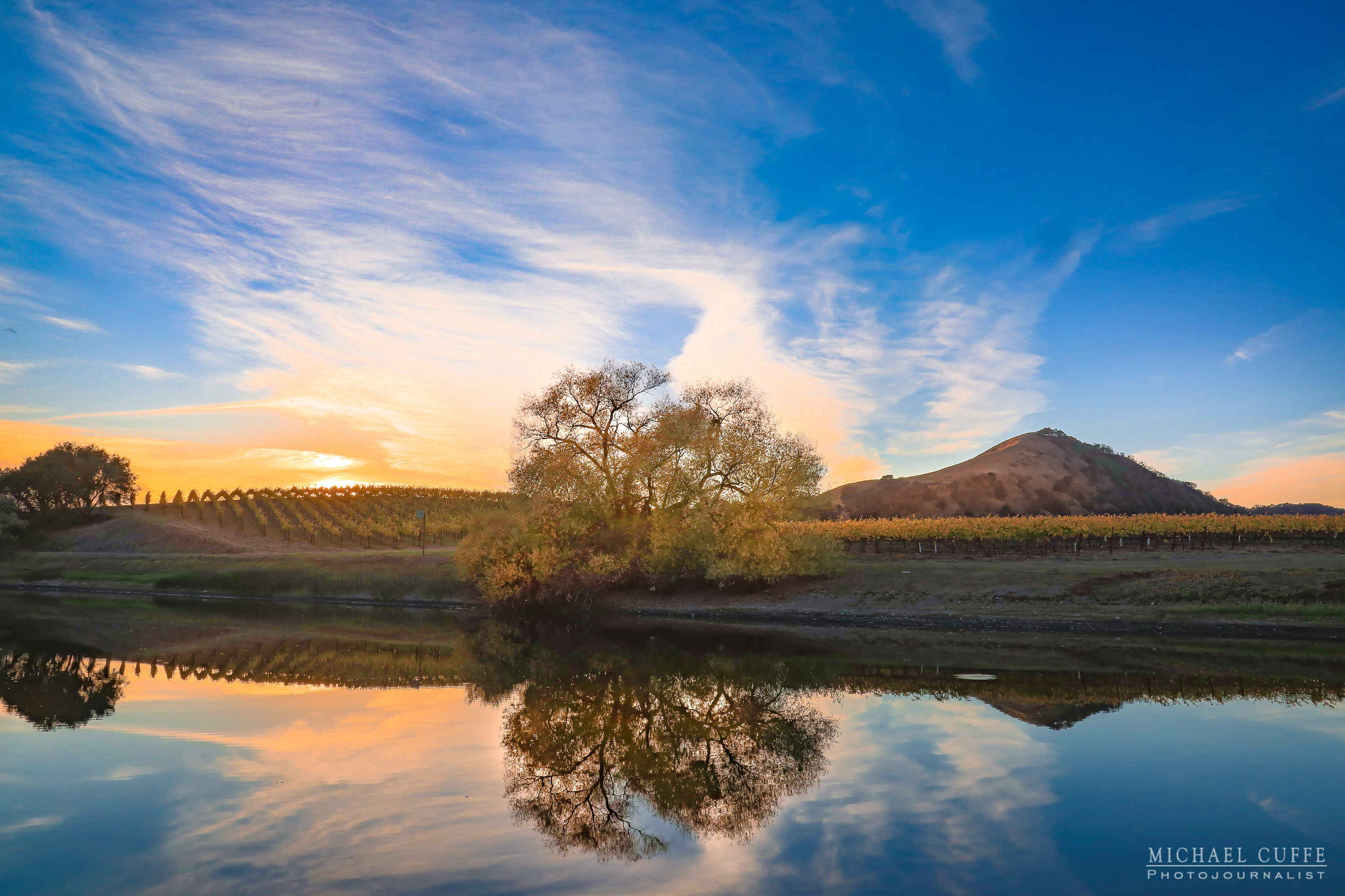 Photographer Portfolio | Michael Cuffe