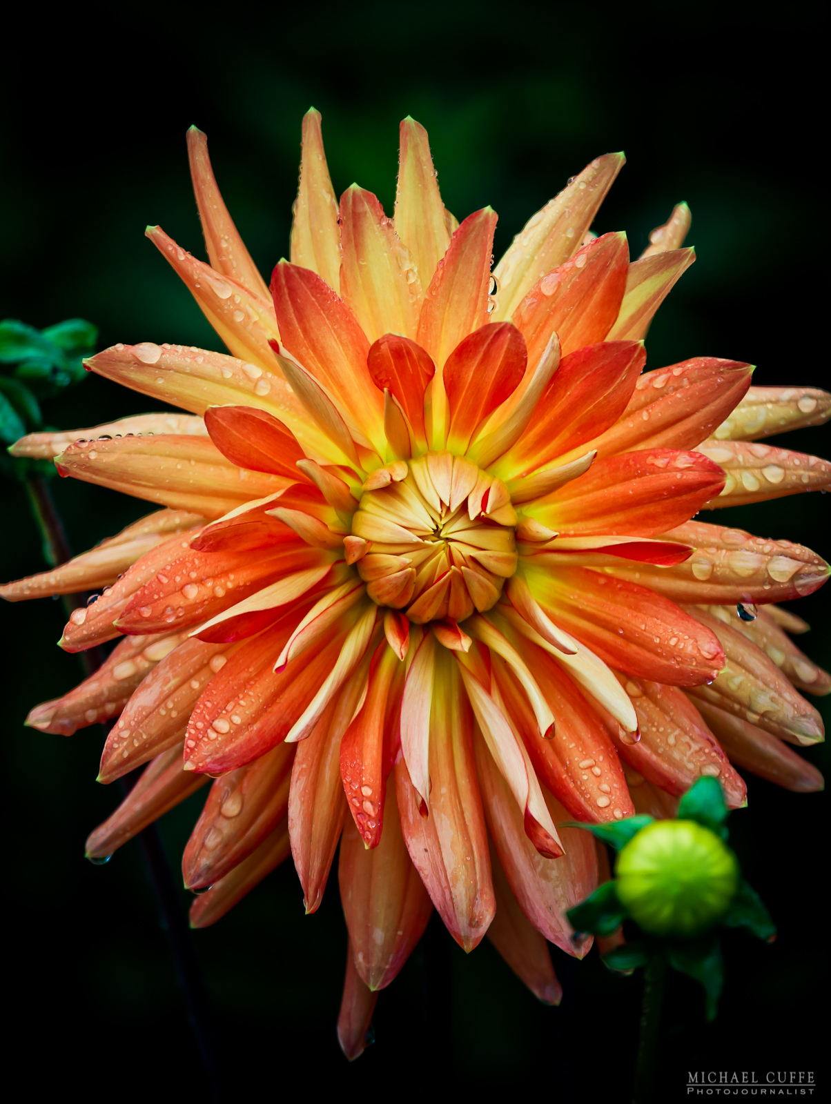 Photographer Portfolio | Michael Cuffe