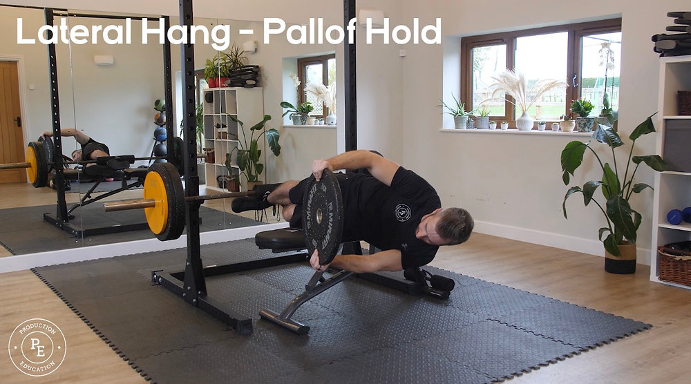 Lateral Hang - Pallof Hold