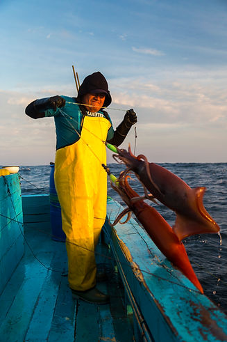 LA POTA | www.capecal.org