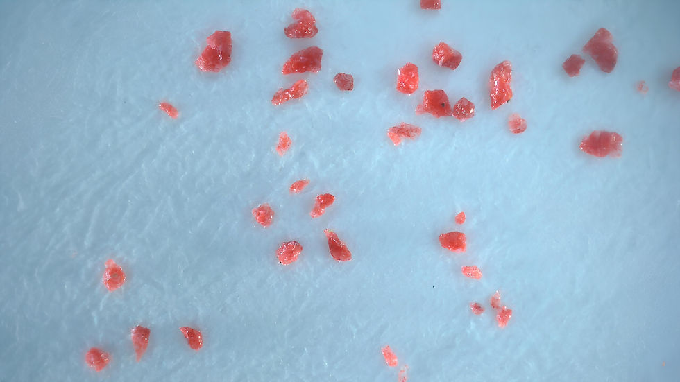 Buy microplastic fragment reference materials (microplastic standard ...