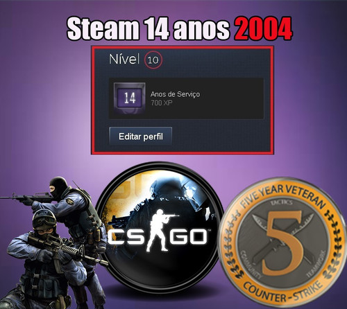 CONTA STEAM 14 ANOS - MEDALHAS 5 E 10 ANOS | Sam Store