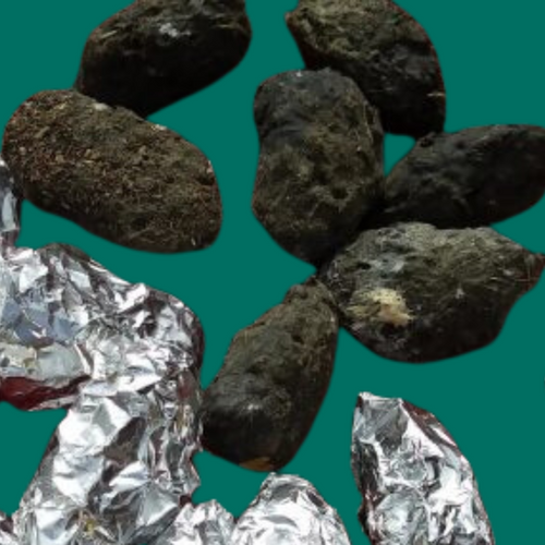 Owl Pellets- See below for purchase instructions | Calgary Wildlife