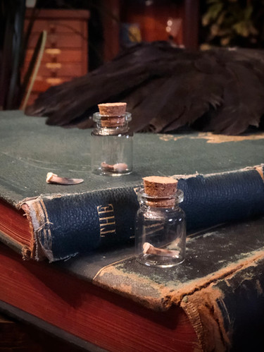 FOX CLAW | Altar Room