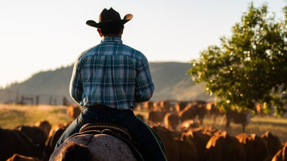 Frase Mexicana: "Fierro pariente", descubre su origen y significado