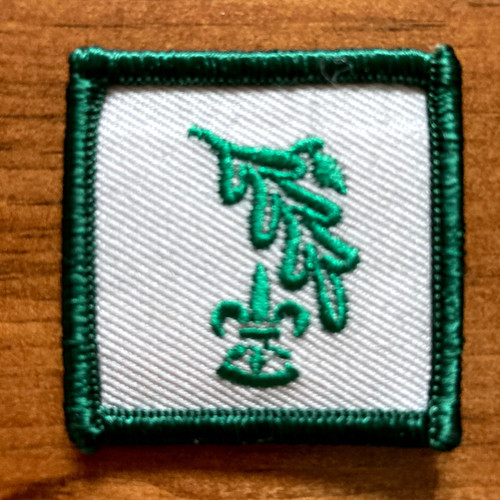 Rover Badge - Project | Rovers Return QM