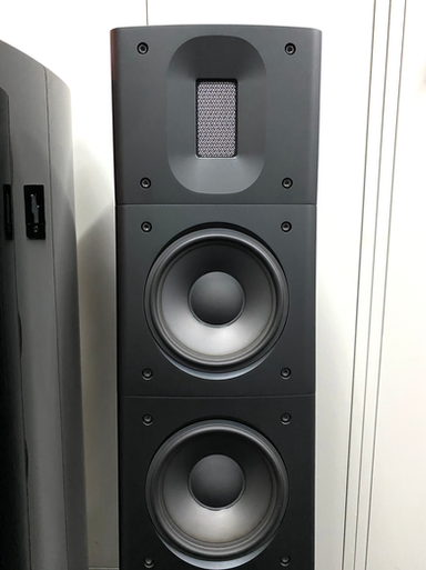 Raidho Acoustics D2.1 Loudspeaker *SOLD*