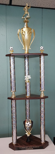 Custom Built Trophies | Coleen's Trophies