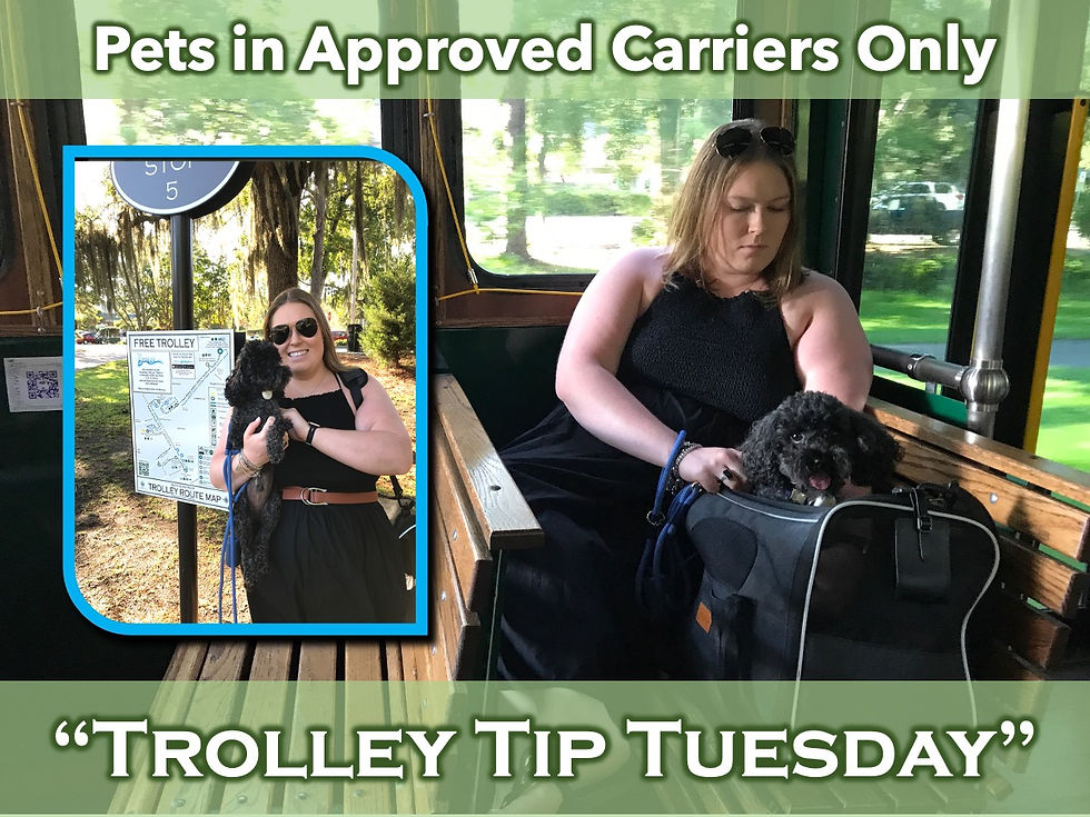 "Trolley Tips" | BreezeTrolley